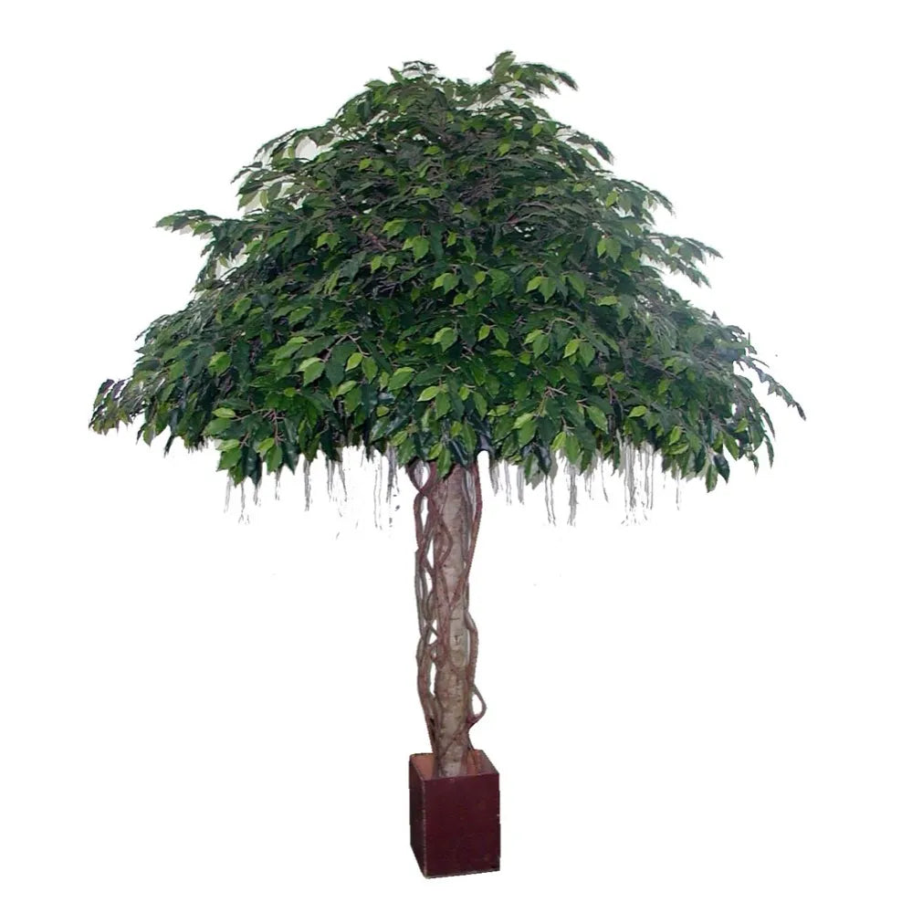 Tall Ficus Umbrella Realistic Artificial Tree 3.05m - Green ...